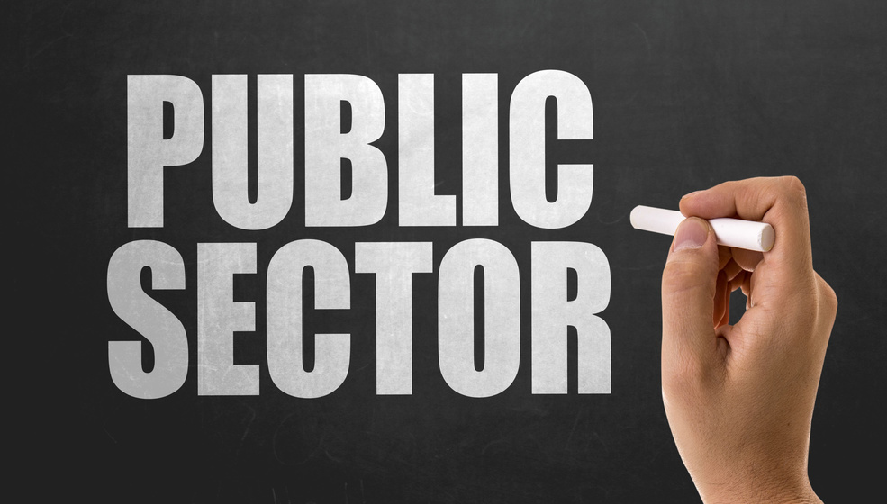 Public Sector Enterprises